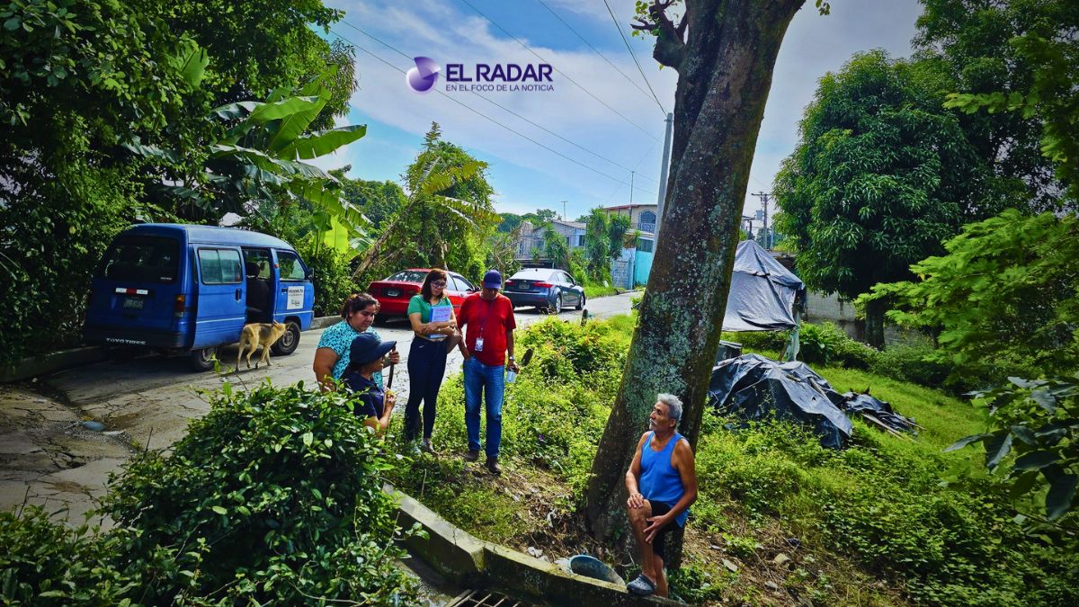 Inspección de Actividades de Tala en La Mazada, Distrito de Olocuilta ...