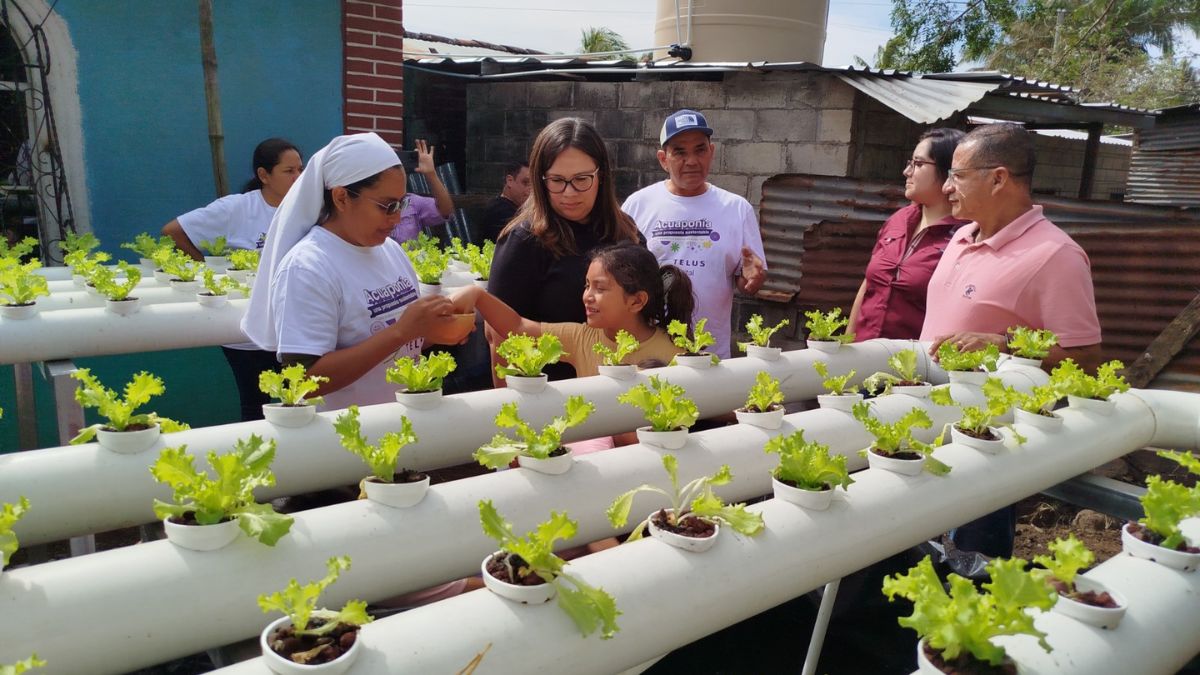 Presentan en San Julián modelo de cultivo que combina acuicultura e hidroponía - El Radar SV